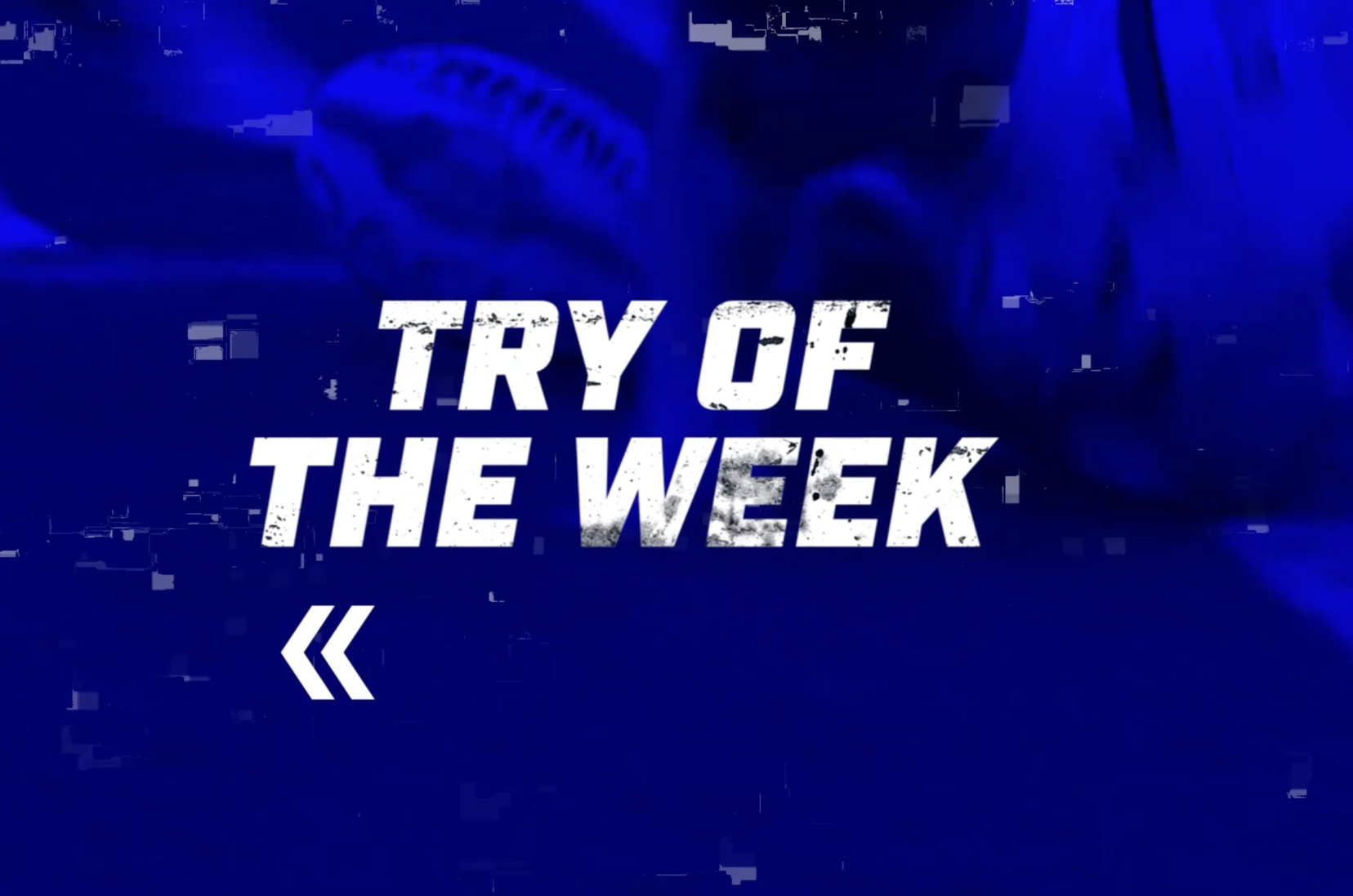 Primary school children roar on the Lions